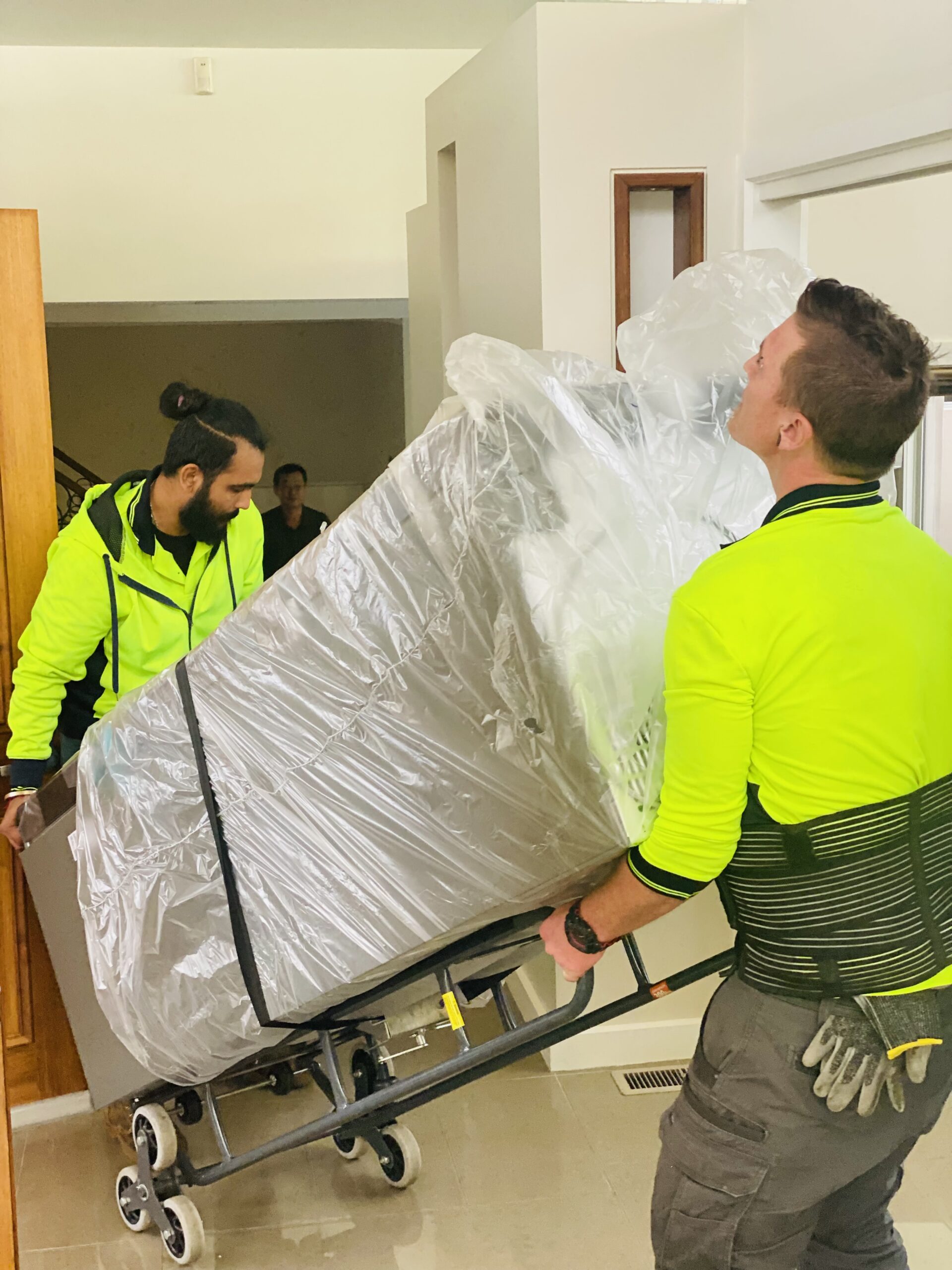 Hobart Removalist Company | Shaggy Removal Service